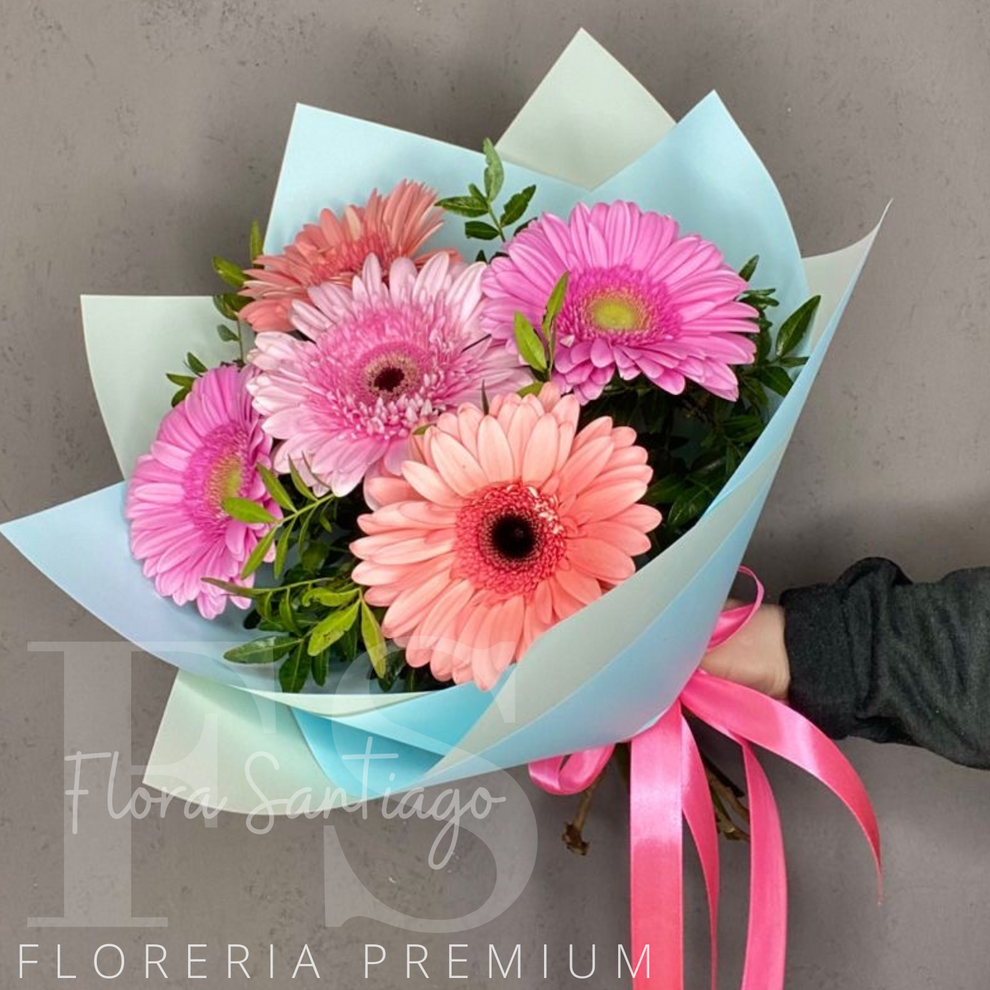 Ramo de 5 gerberas de colores – Flores a domicilio